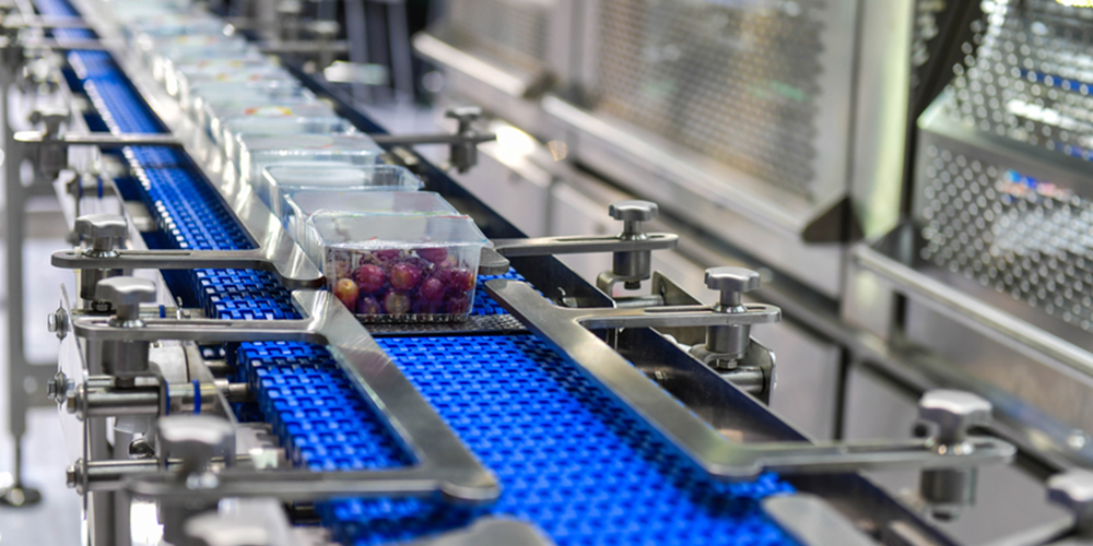 HACCP Codex e GMP - Interpretação dos Requisitos