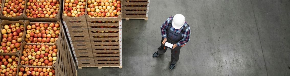 Food supply chain: a comprehensive guide | DNV