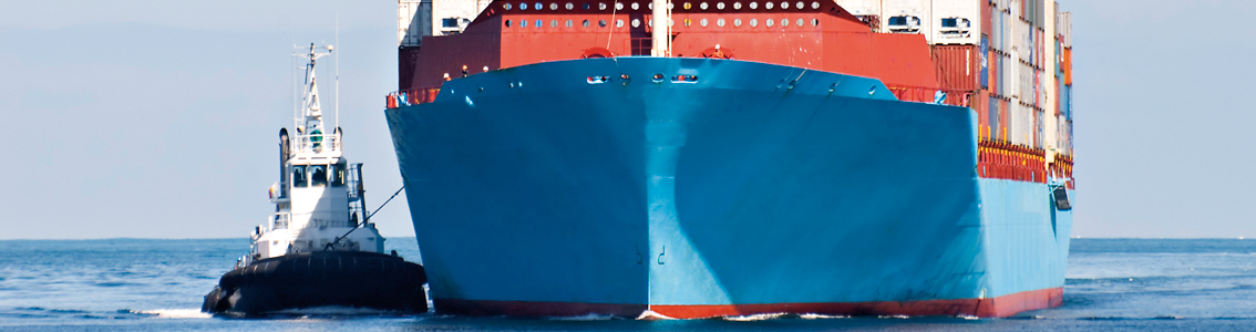 Maritime ship types courses