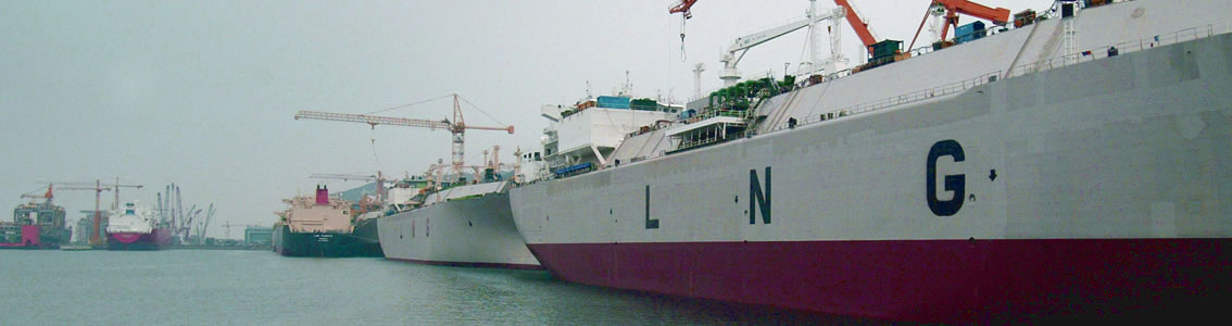 Verification of offshore riser systems